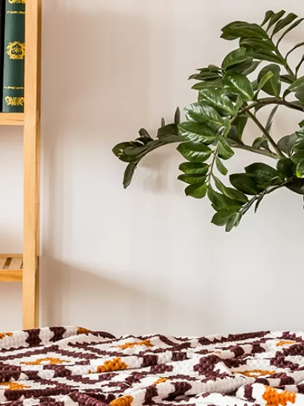 Architects | Nerolac